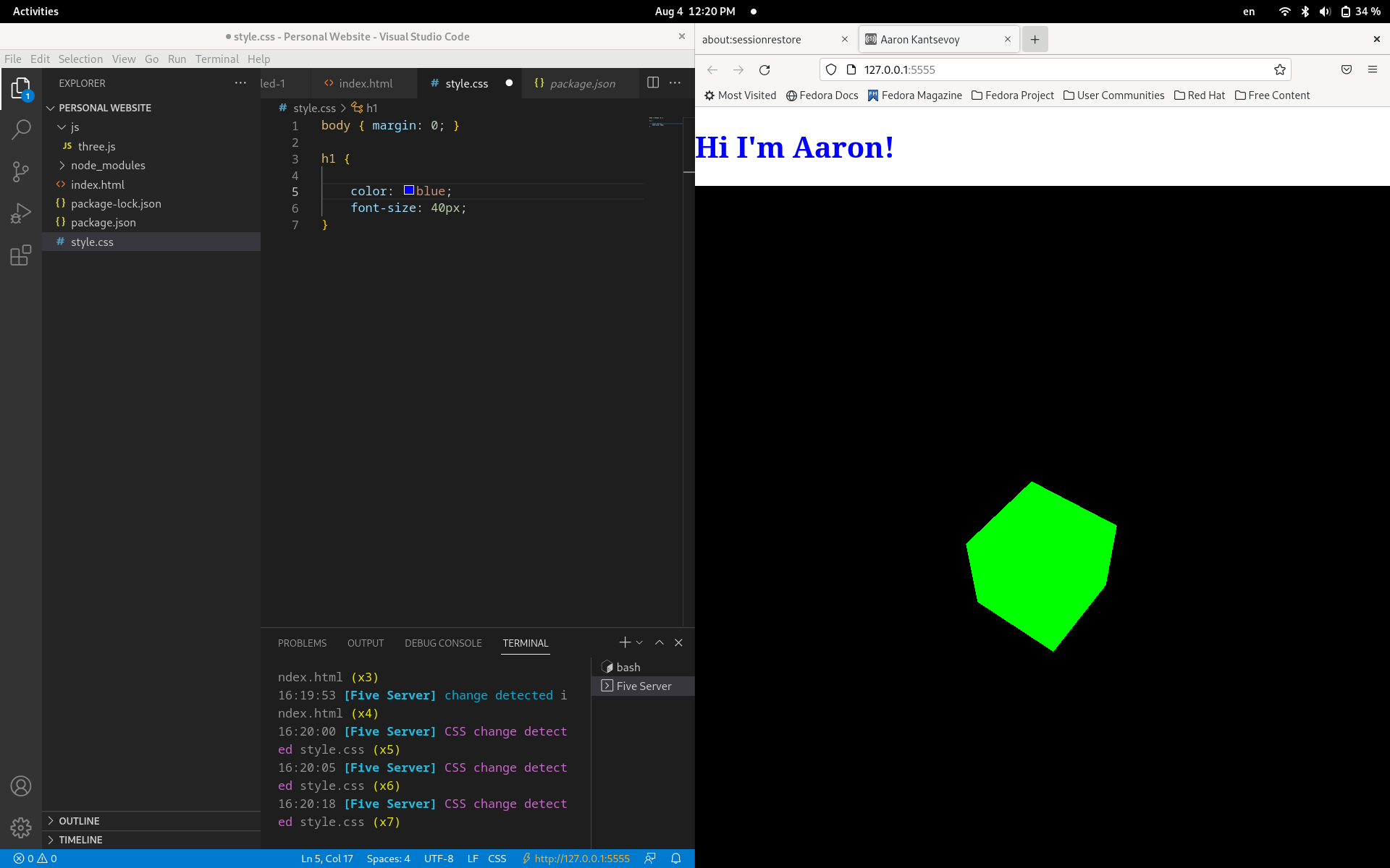 Aaron Kantsevoy's Portfolio