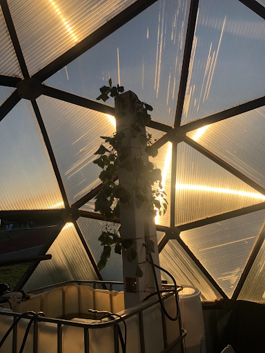 Aaron Kantsevoy's Portfolio